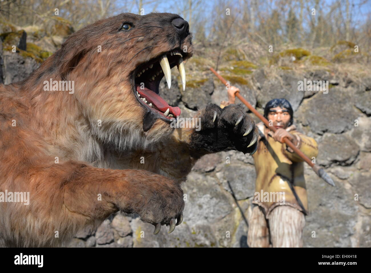 Bear Sabertooth Tigers Saber Toothed Tiger Blender Market