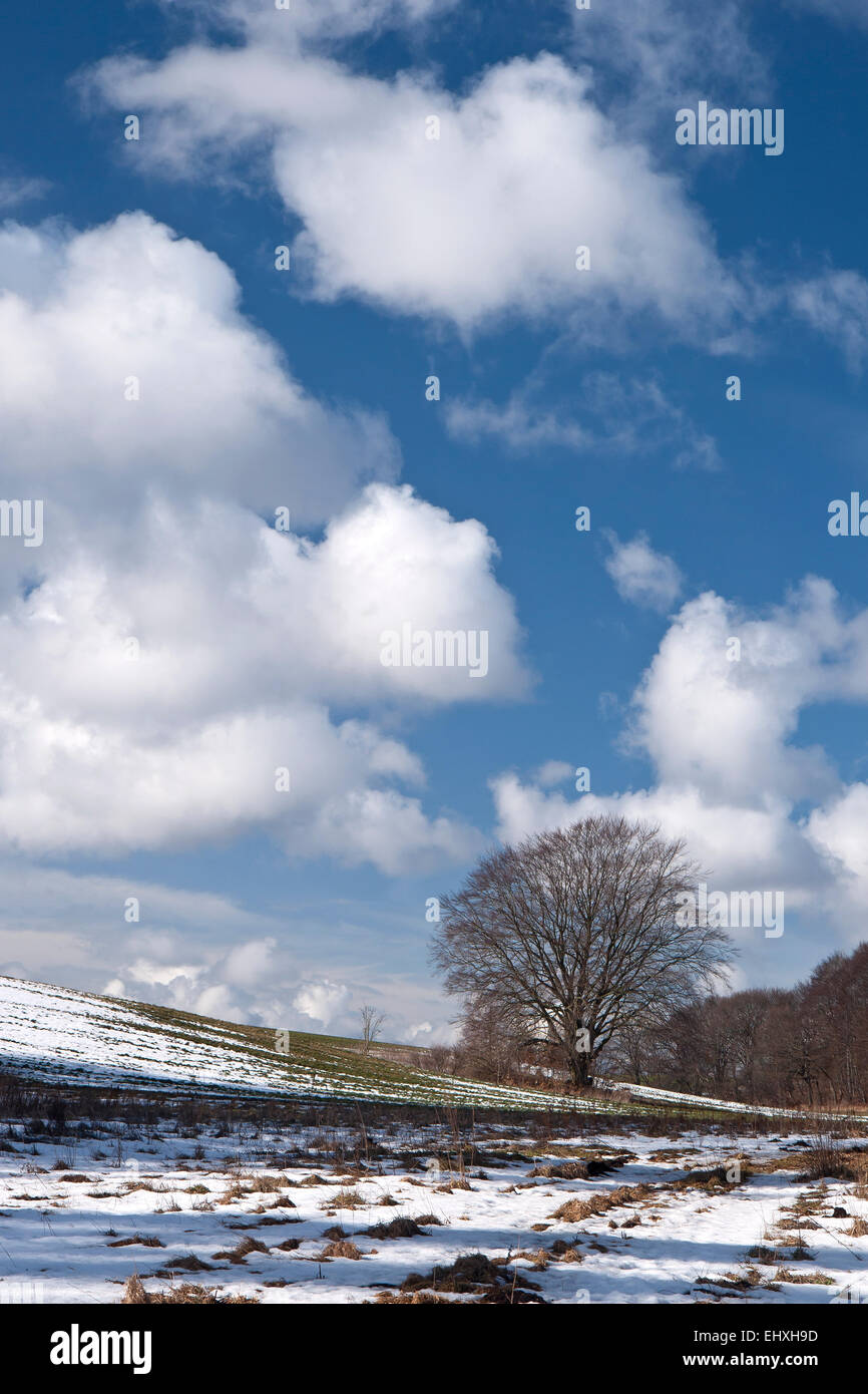 White clouds over fields hi-res stock photography and images - Alamy