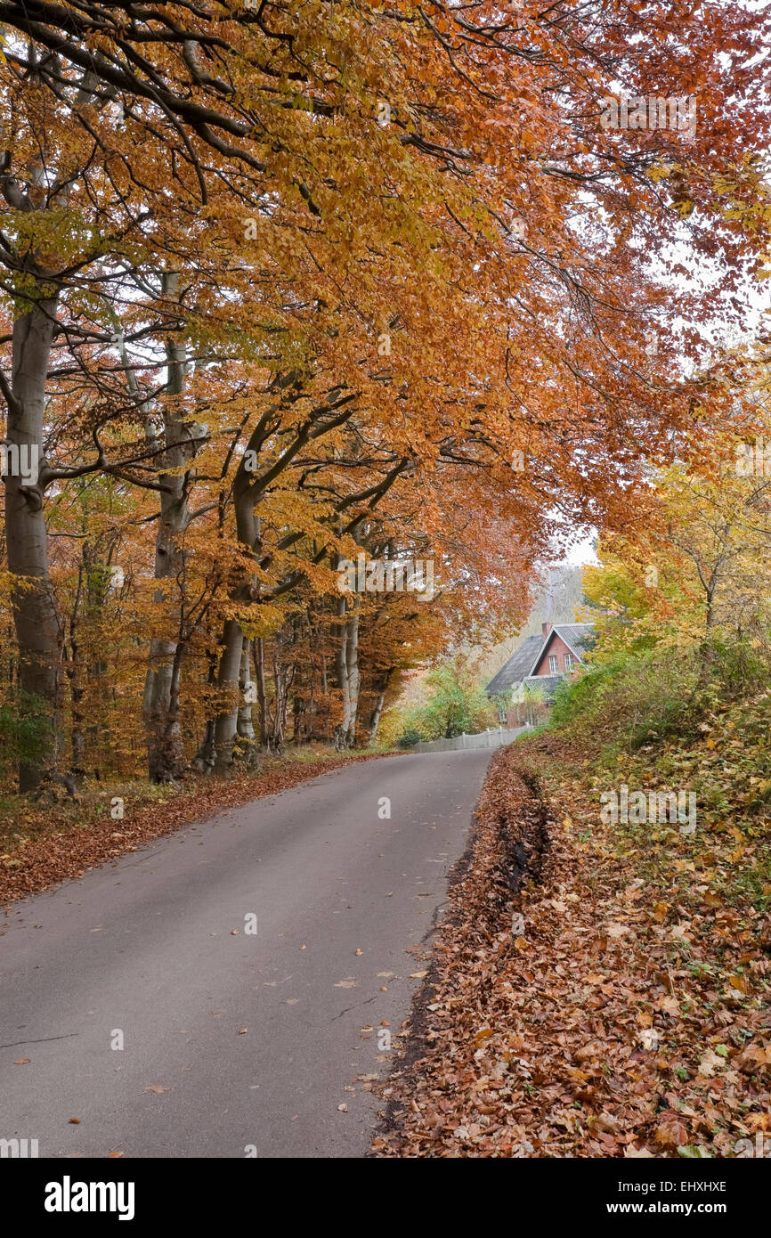 Fall house at end of road hi-res stock photography and images - Alamy