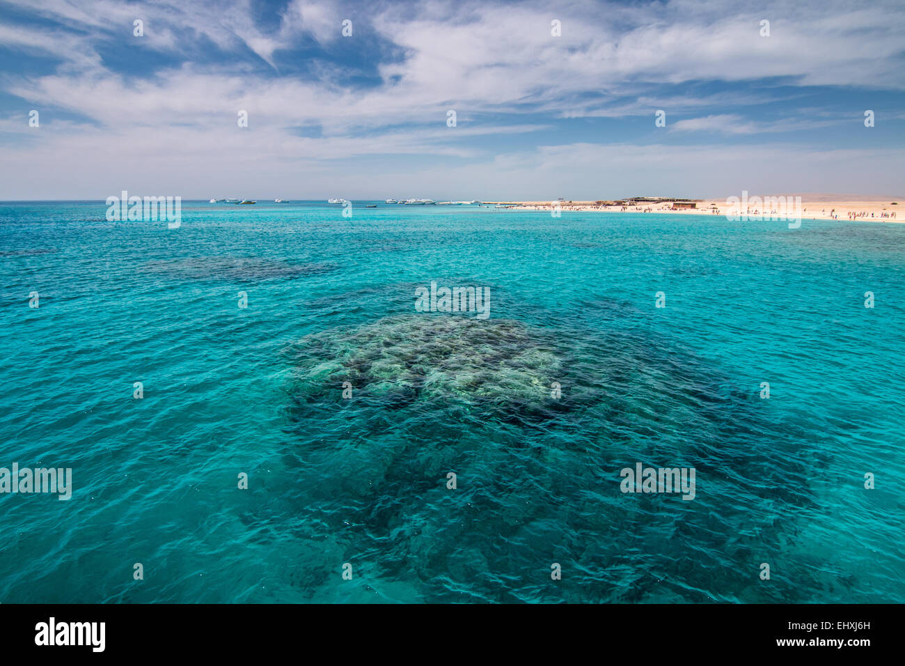 Tourists snorkel around coral reefs in the Red Sea, just off the shores ...