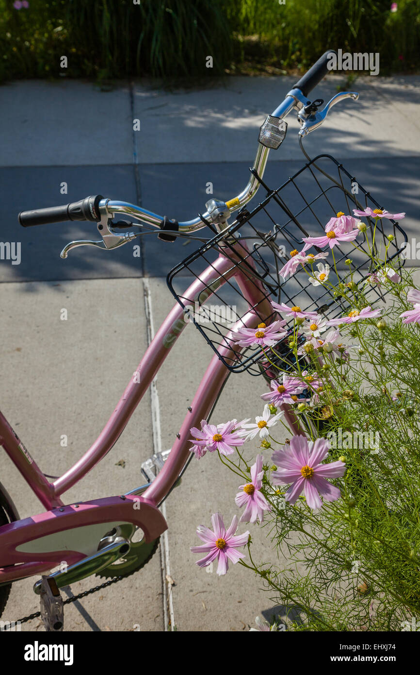 Pink Bicycle with flowers Stock Photo - Alamy