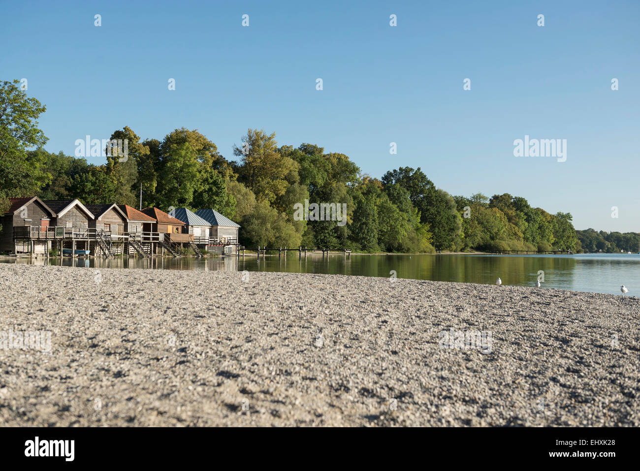 Lake shore boathouse autumn trees pebble beach Stock Photo - Alamy