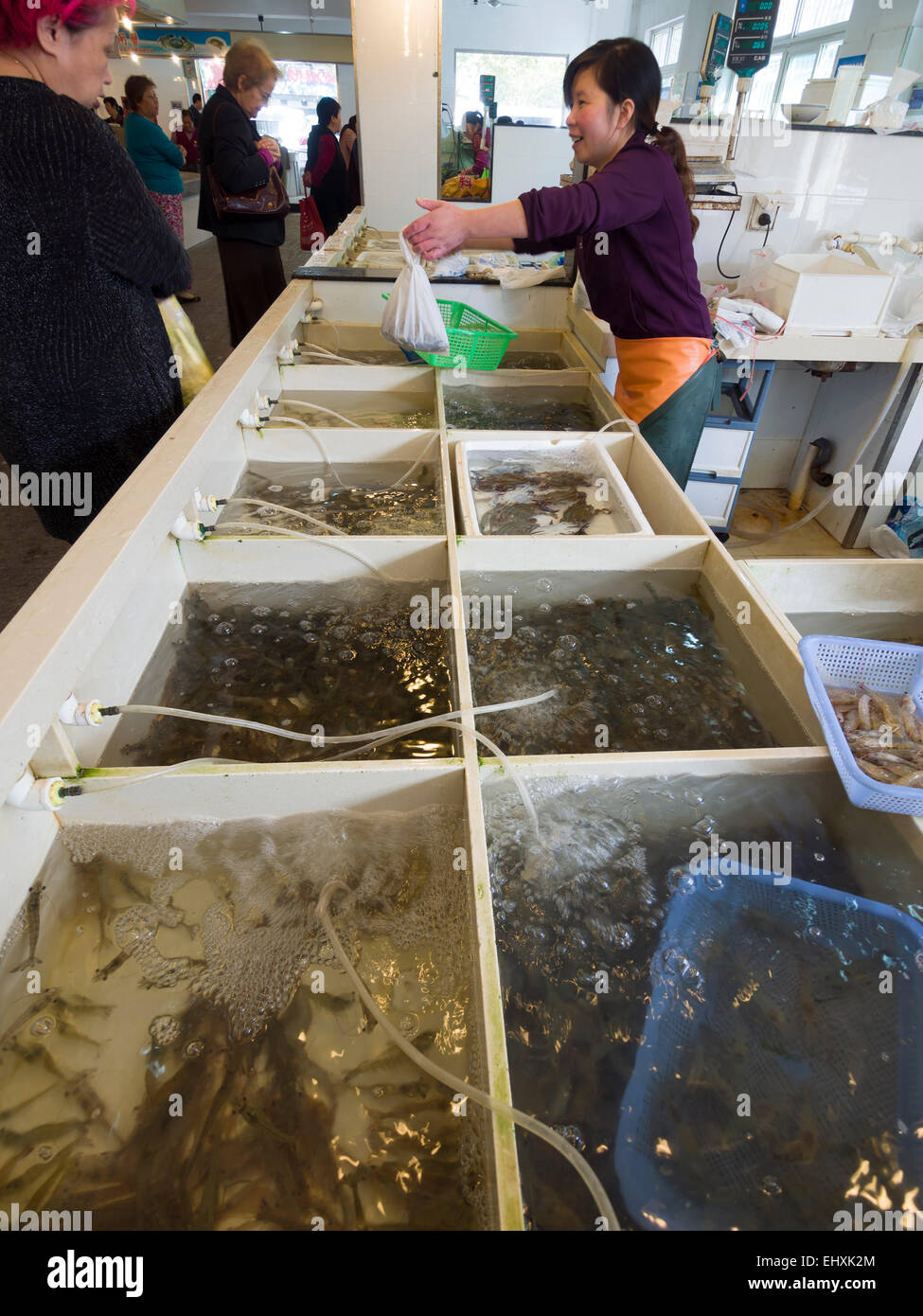 Fish market in Shanghai, China Stock Photo - Alamy