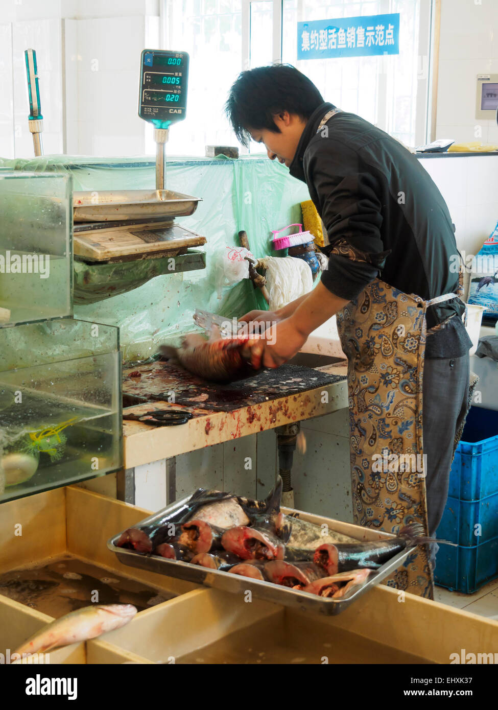 Fish market in shanghai china hi-res stock photography and images - Alamy