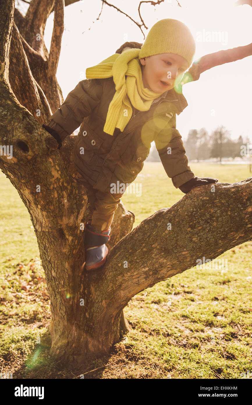 Little boy climbing on a tree in winter Stock Photo - Alamy