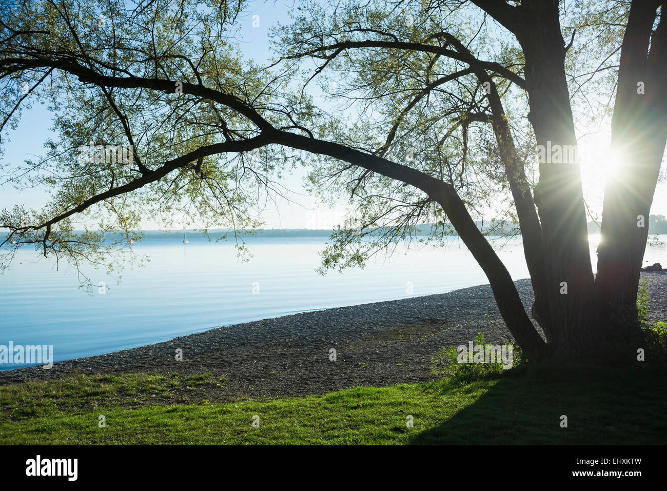 Sunshine sunset lake shore tree horizon Stock Photo - Alamy