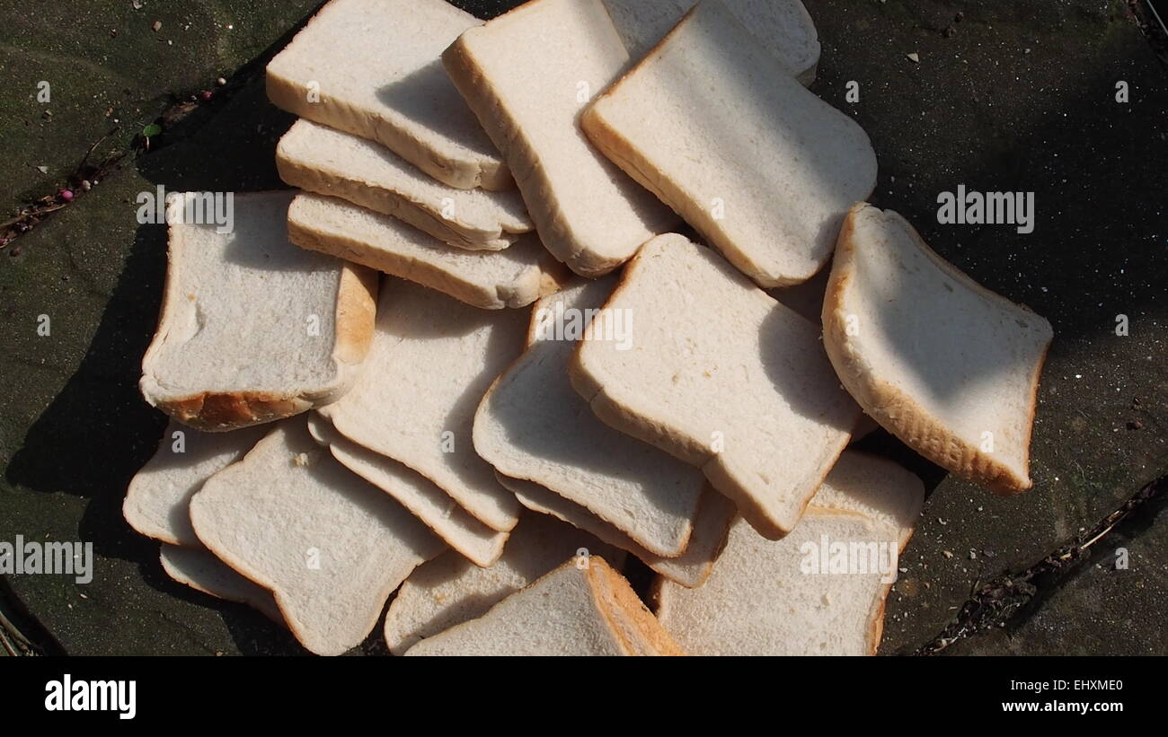Dumped bread hi-res stock photography and images - Alamy