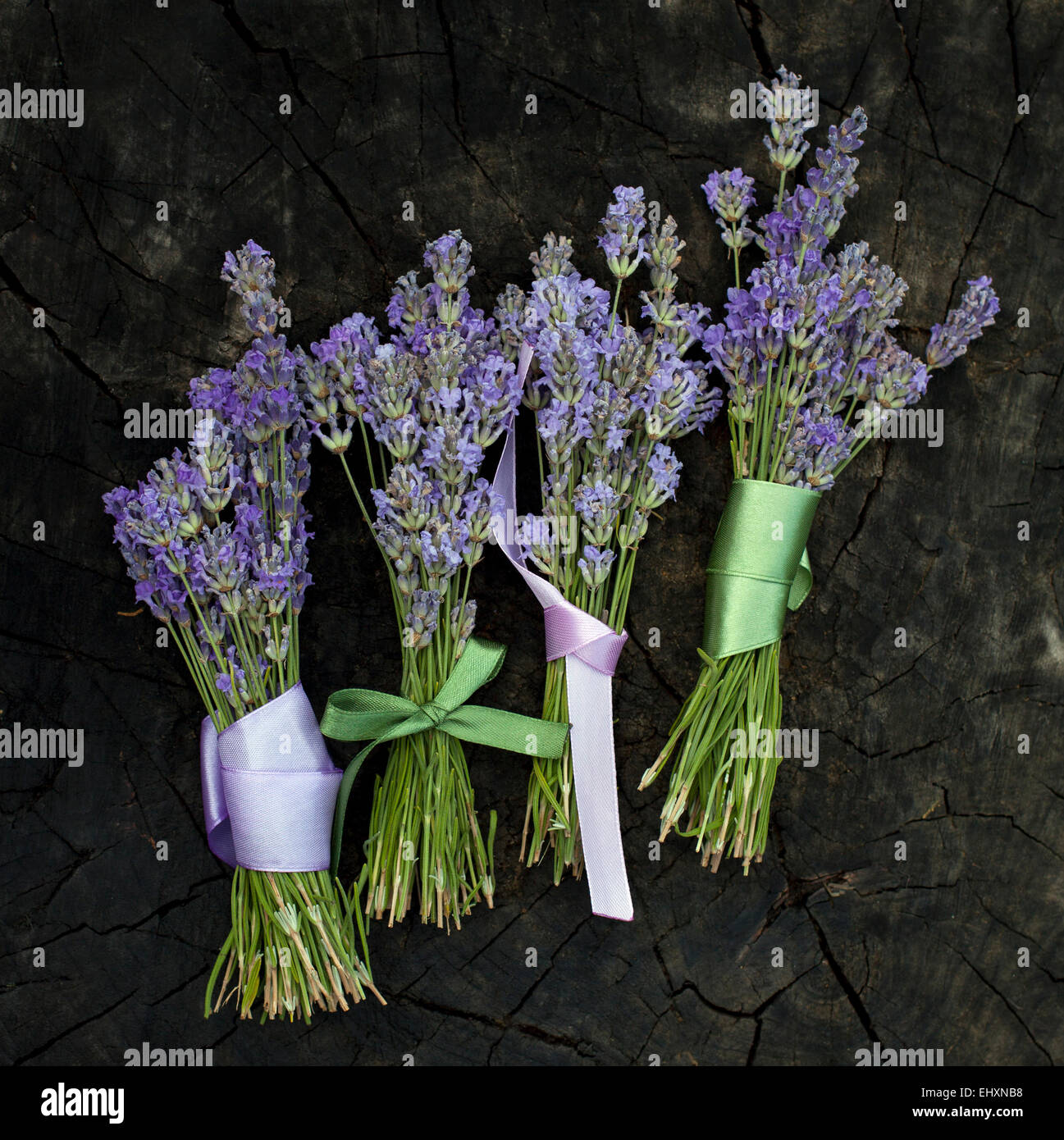 Harvest flower hi-res stock photography and images - Alamy