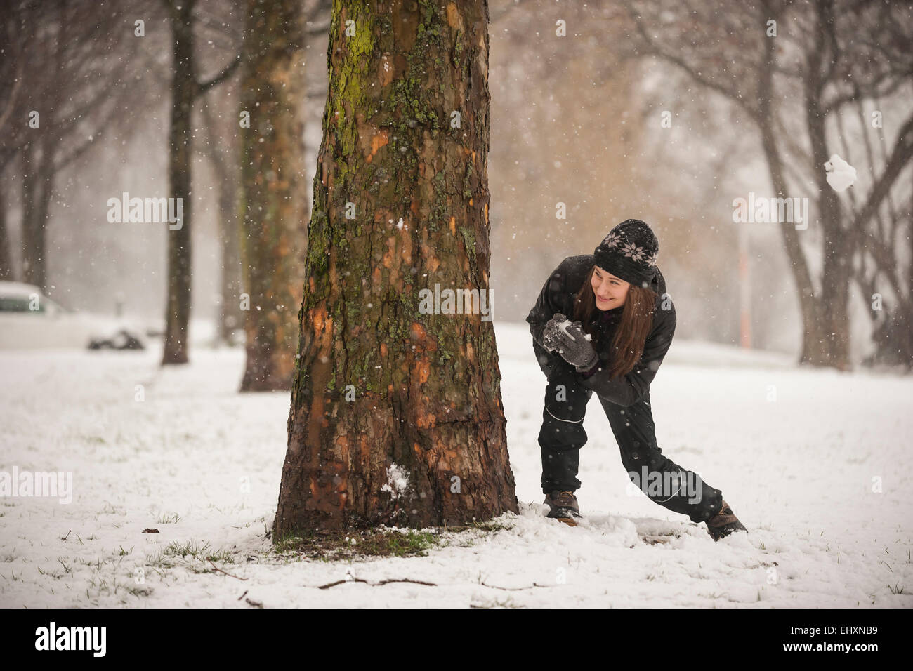 Covered with long woolly hair hi-res stock photography and images - Alamy