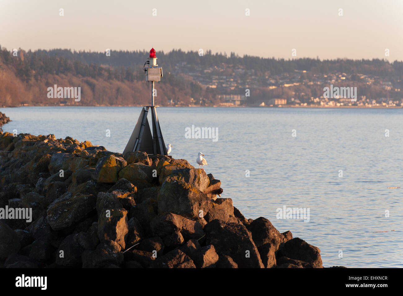 Two sea gulls on a rock jetty below a navigation warning beacon light ...