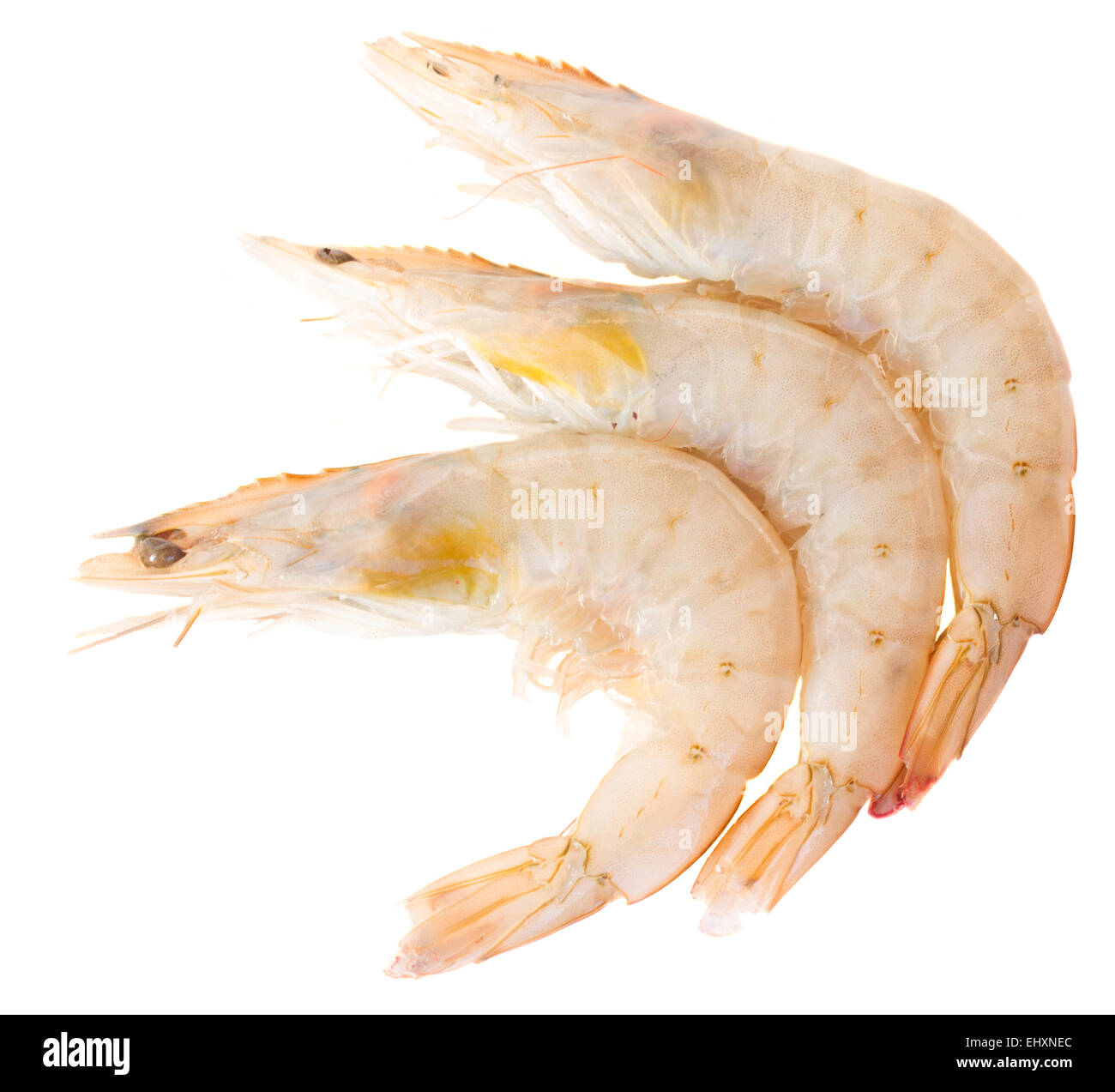 Tiger prawns gourmet seafood Cut Out Stock Images & Pictures - Alamy