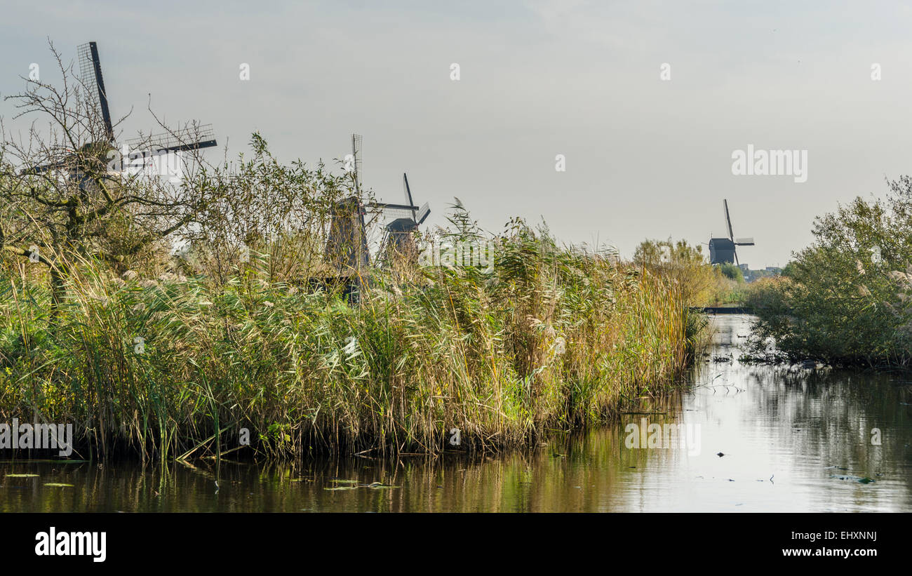 Windmills at Kinderdijk in the Netherlands which date from the 18th ...