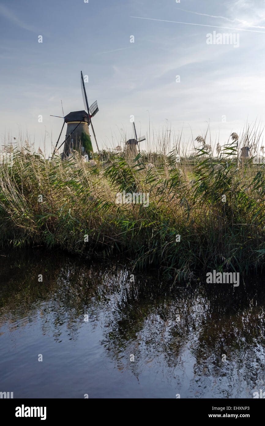 17th century dutch windmills hi-res stock photography and images - Alamy