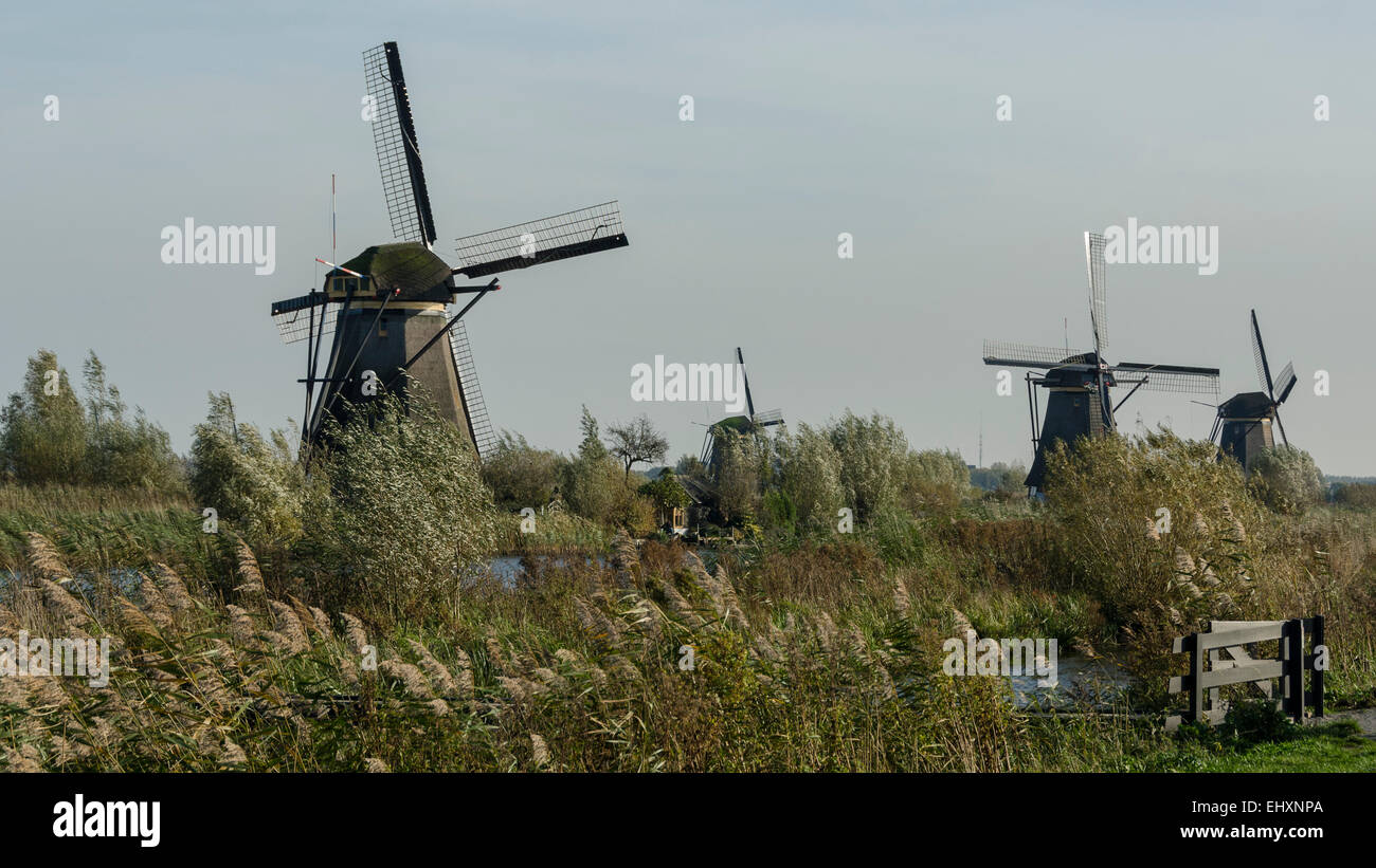 Windmills at Kinderdijk in the Netherlands which date from the 18th ...