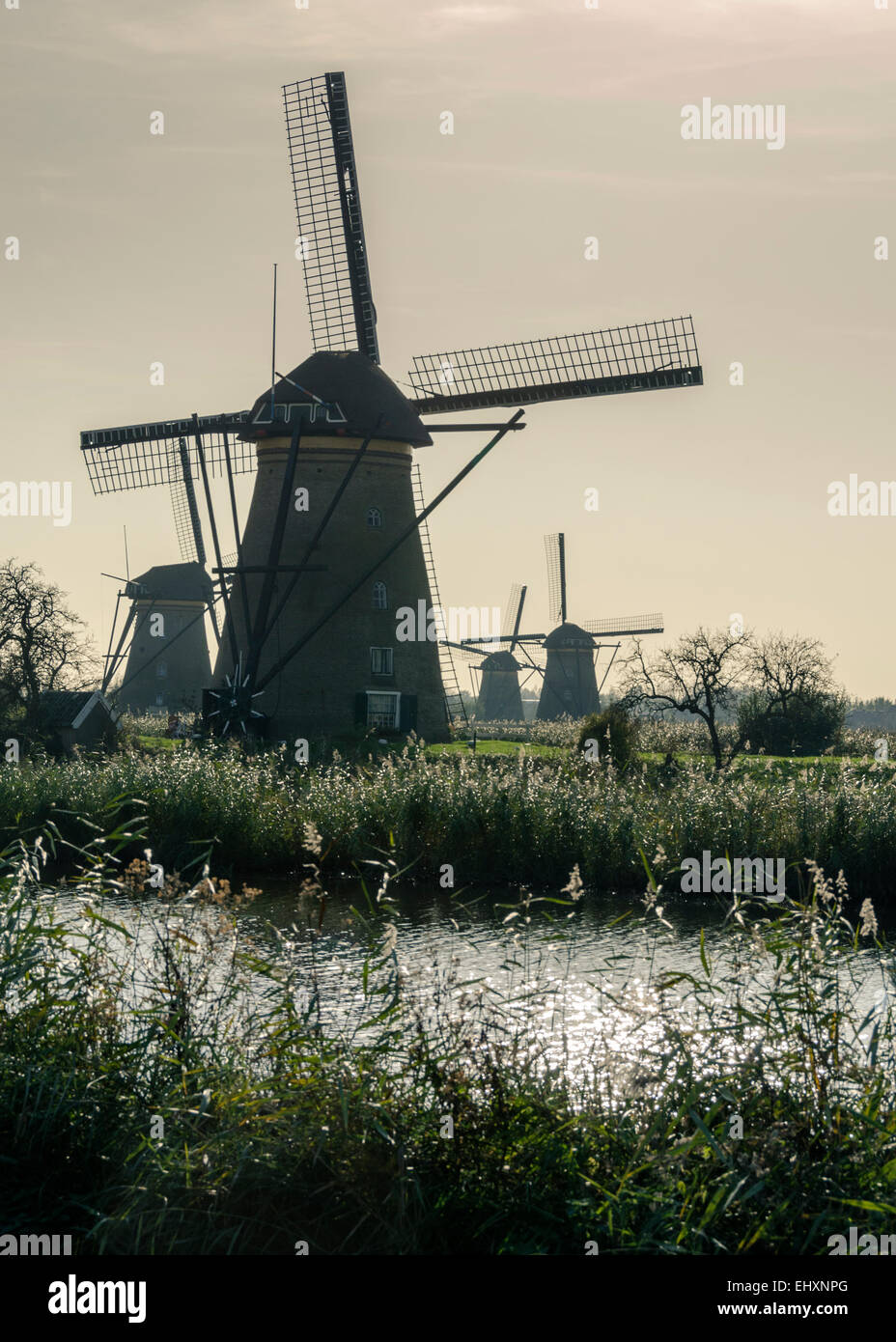 17th century dutch windmills hi-res stock photography and images - Alamy