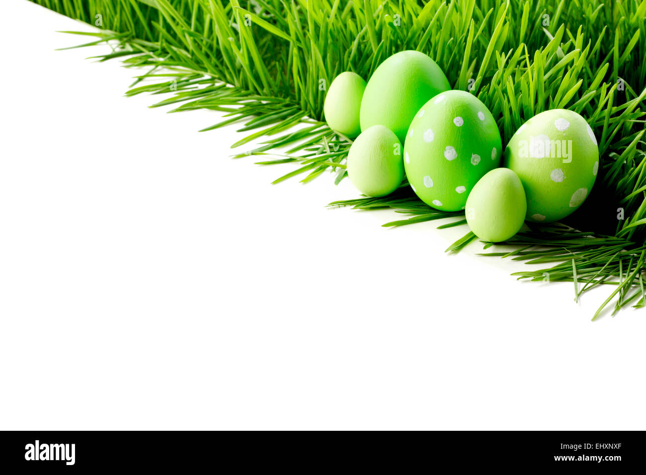 Row of green Easter Eggs in fresh green grass isolated on white ...