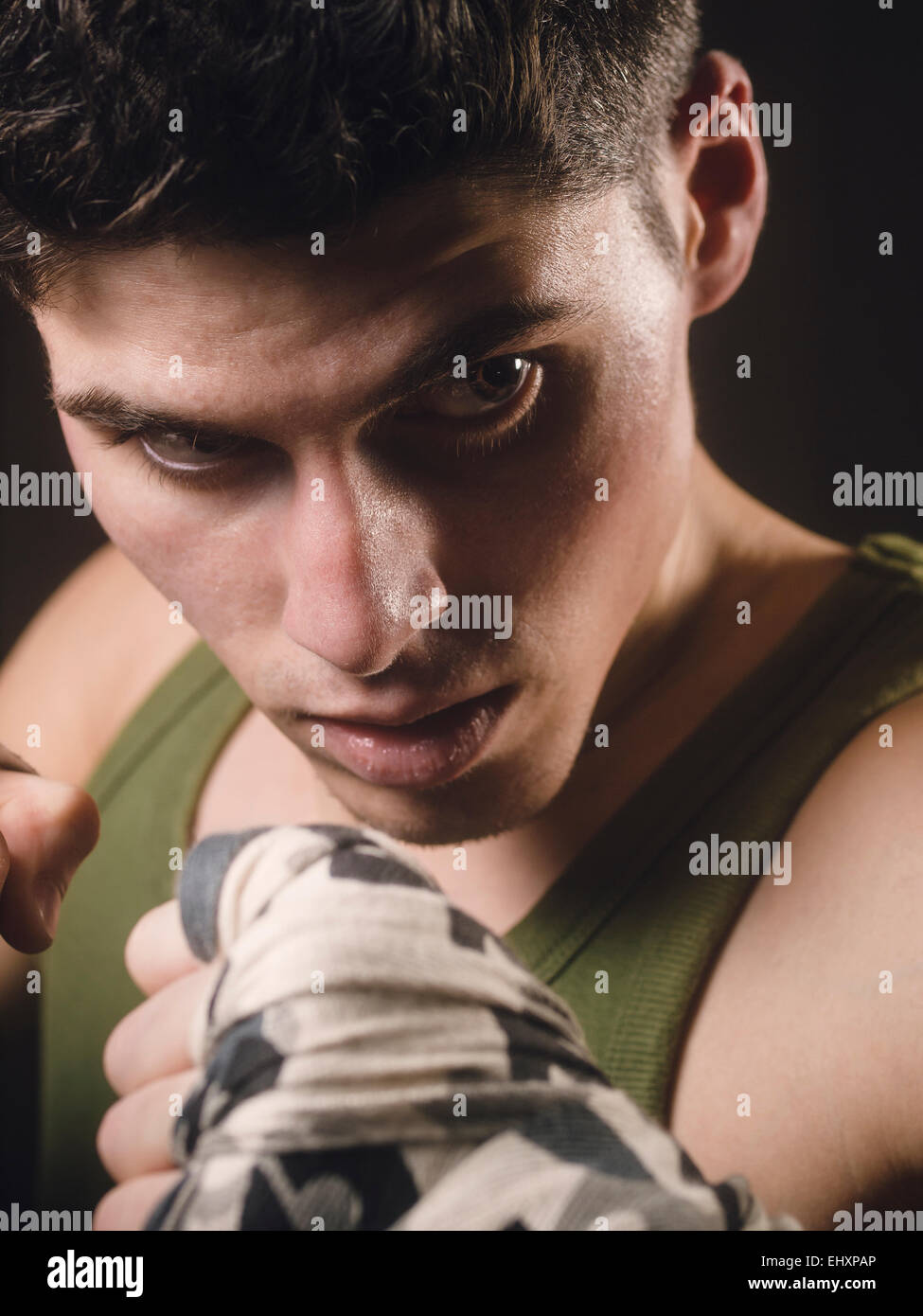 Portrait of a young boxer Stock Photo - Alamy