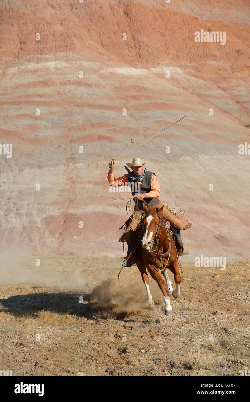 USA, Wyoming, Big Horn Mountains, riding cowboy swinging lasso Stock ...