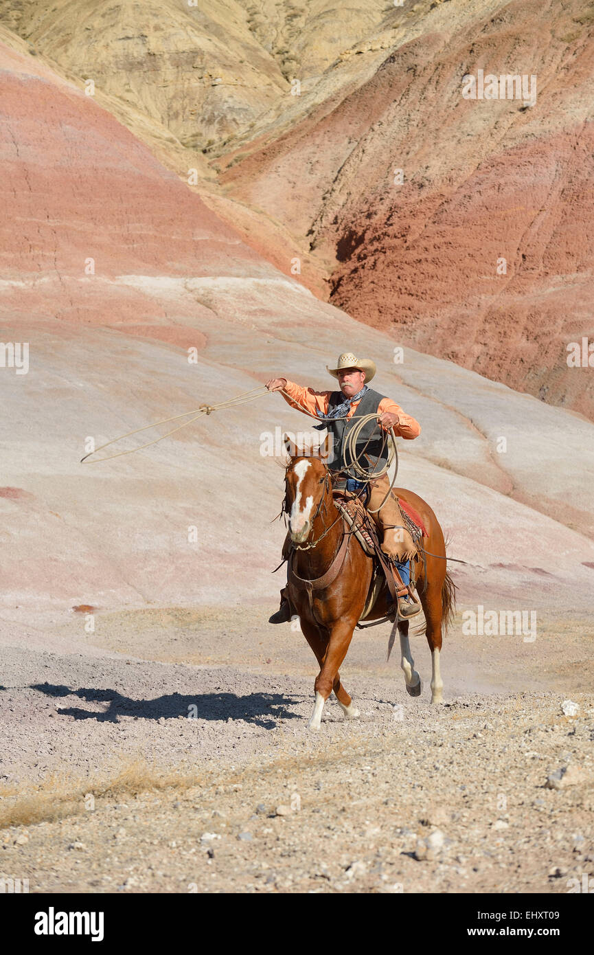 Cowboy throwing lasso hi-res stock photography and images - Alamy