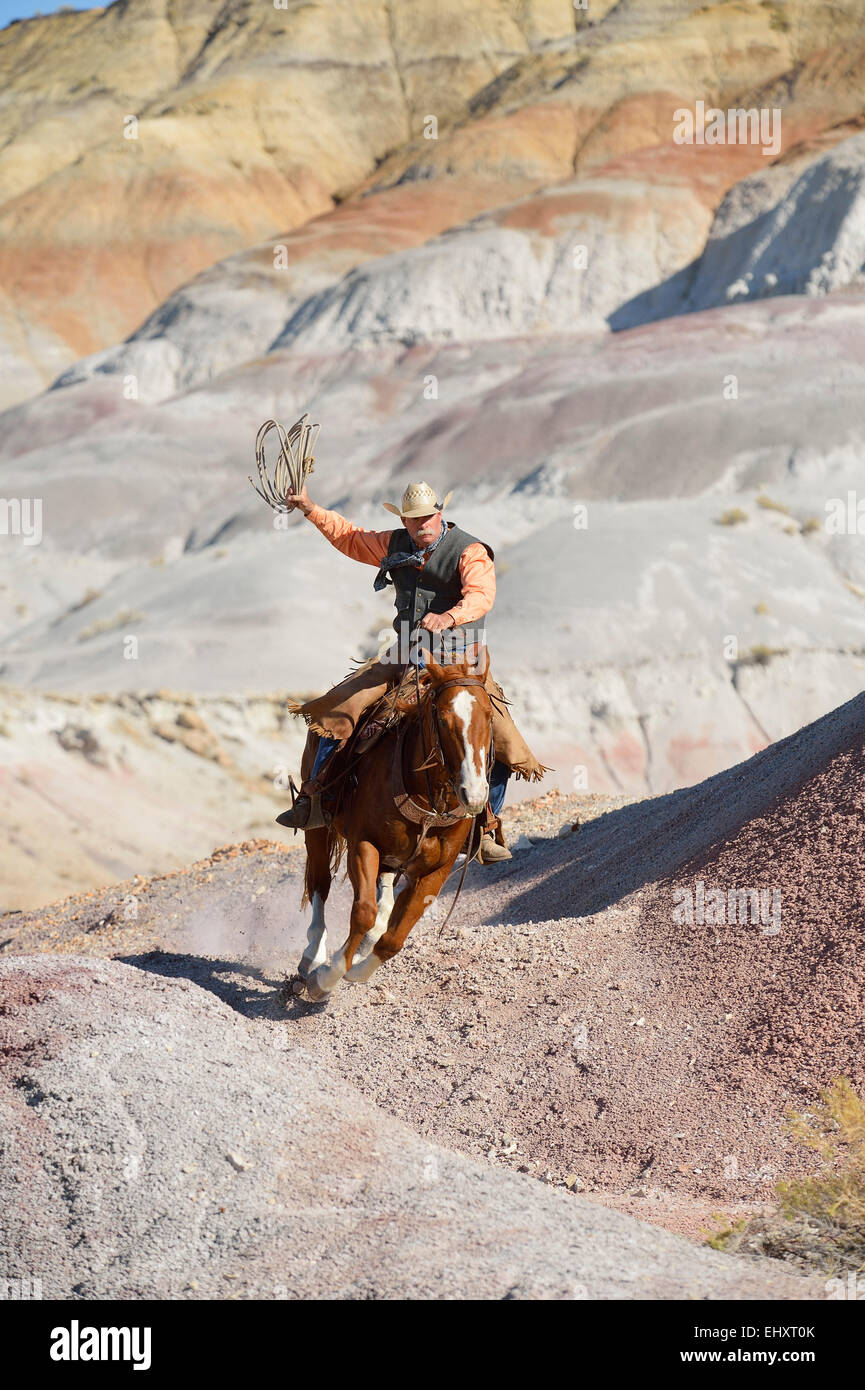 USA, Wyoming, Big Horn Mountains, riding cowboy swinging lasso Stock ...