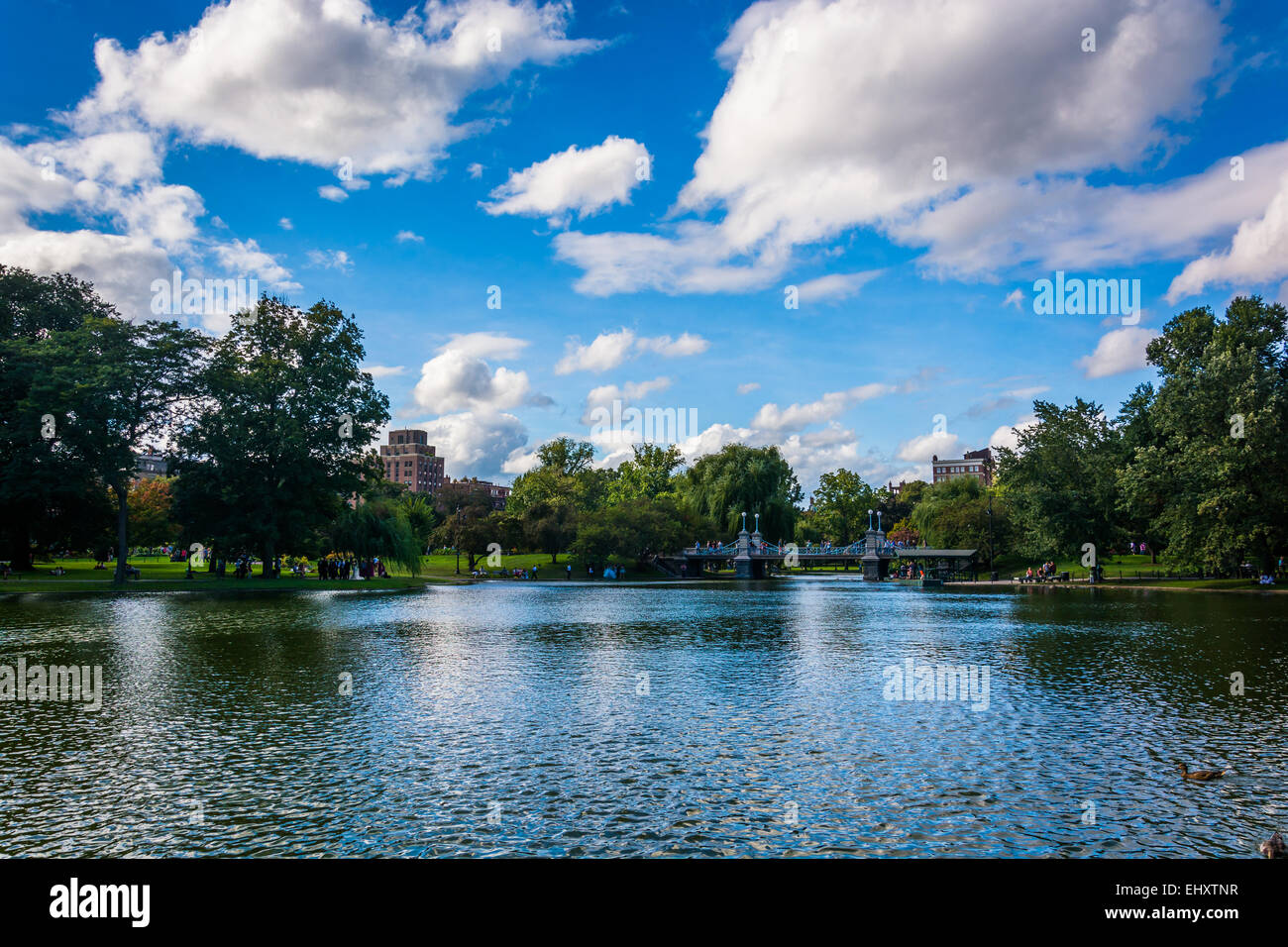 Pond in the Public Garden in Boston, Massachusetts Stock Photo - Alamy