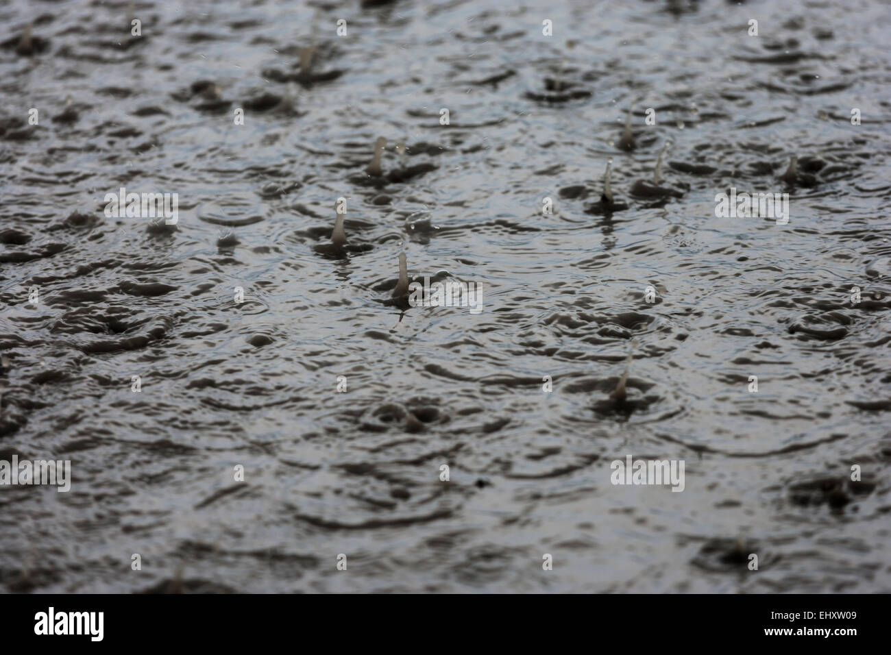 Raindrops falling on water surface Stock Photo - Alamy