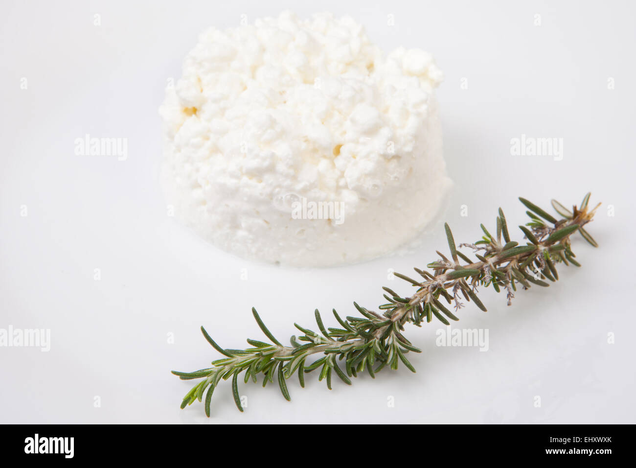 Granulated cottage cheese with a rosemary branch. Isolated over white ...