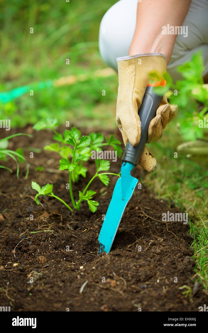 Woman's hand with spade Stock Photo - Alamy