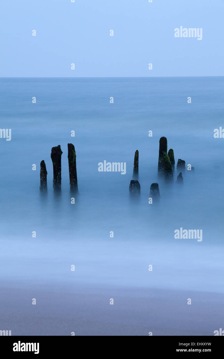 Germany, Schleswig-Holstein, Sylt, Rantum, groins in the North Sea ...