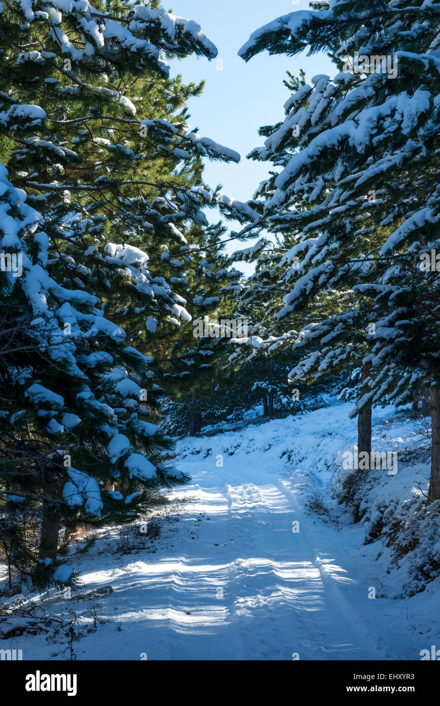 Wilderness cold vertical hi-res stock photography and images - Alamy