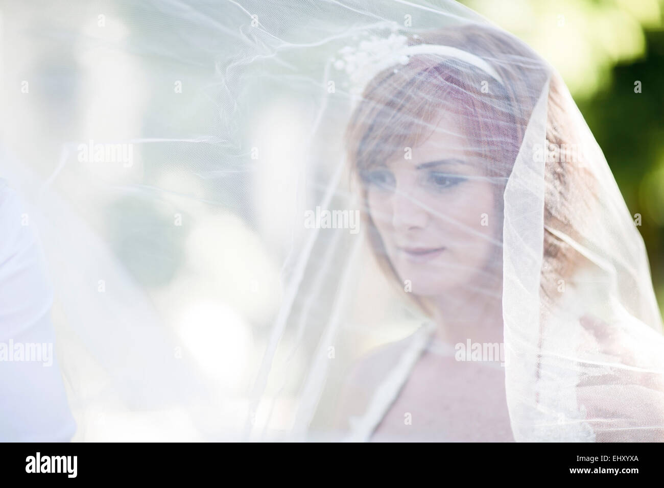 Bride covered with veil Stock Photo - Alamy