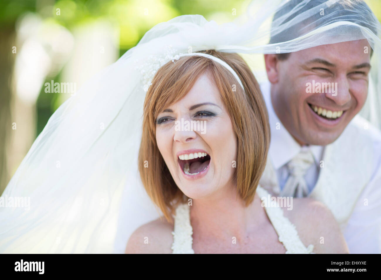 Laughing groom and bride covered with veil ready for her wedding Stock ...