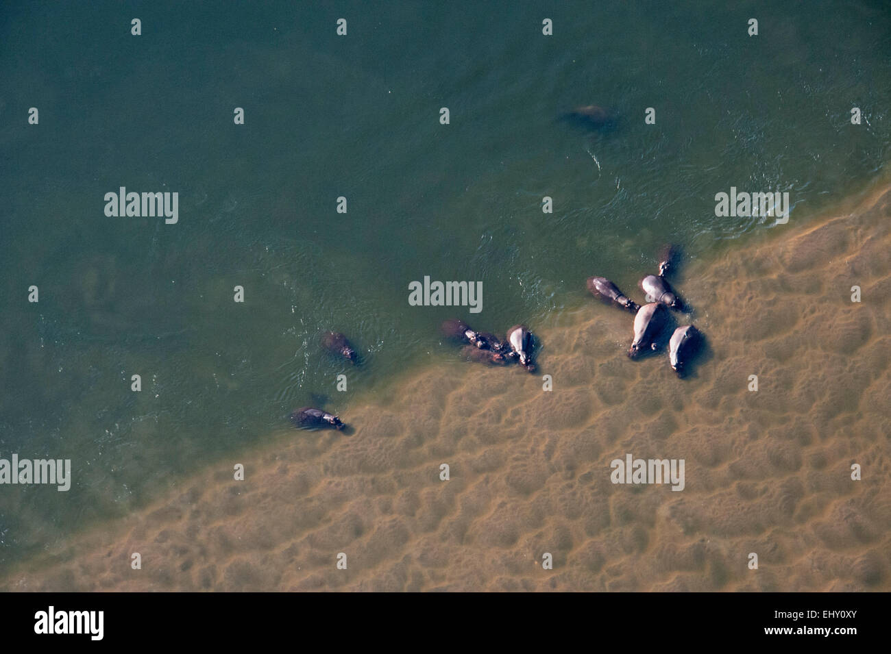 Sandbar aerial river hi-res stock photography and images - Alamy