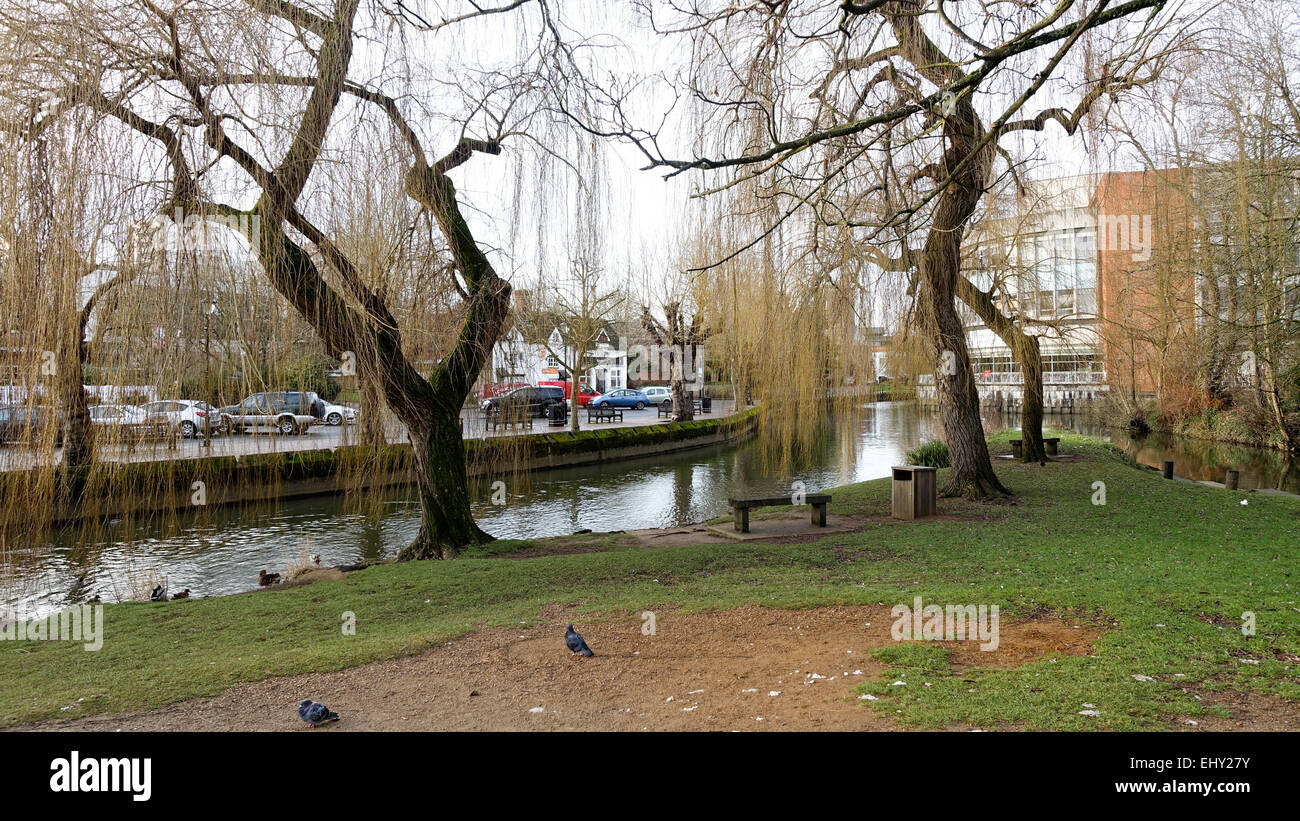The River Wey at Guildford, Surrey -1 Stock Photo - Alamy