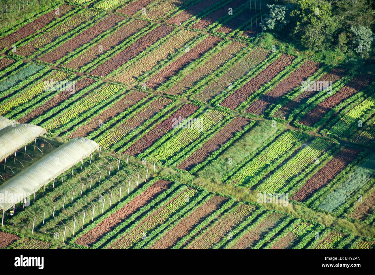 Maize farming with pivot irrigation hi-res stock photography and images ...
