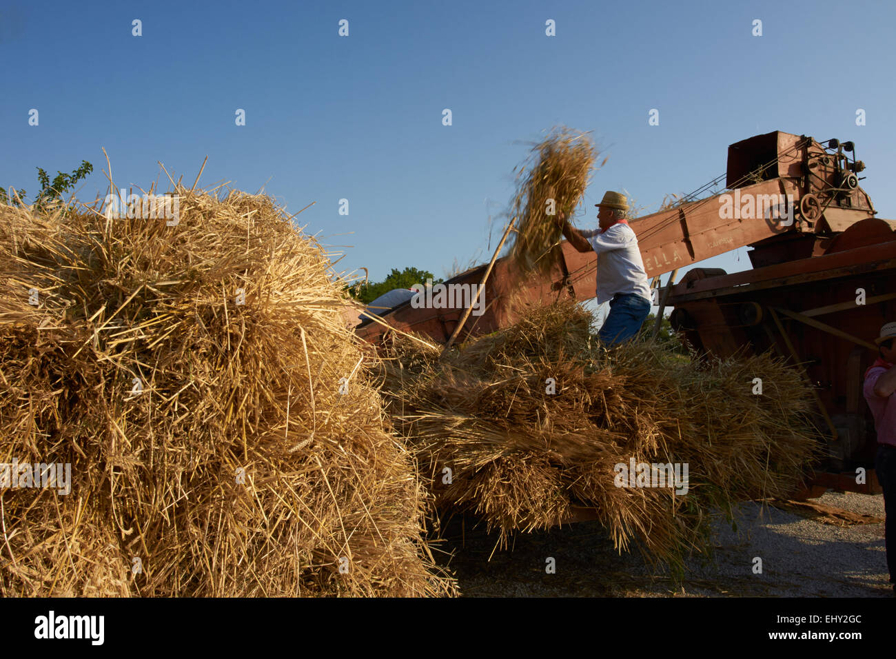 Harvest Le Marche Italy Stock Photo - Alamy