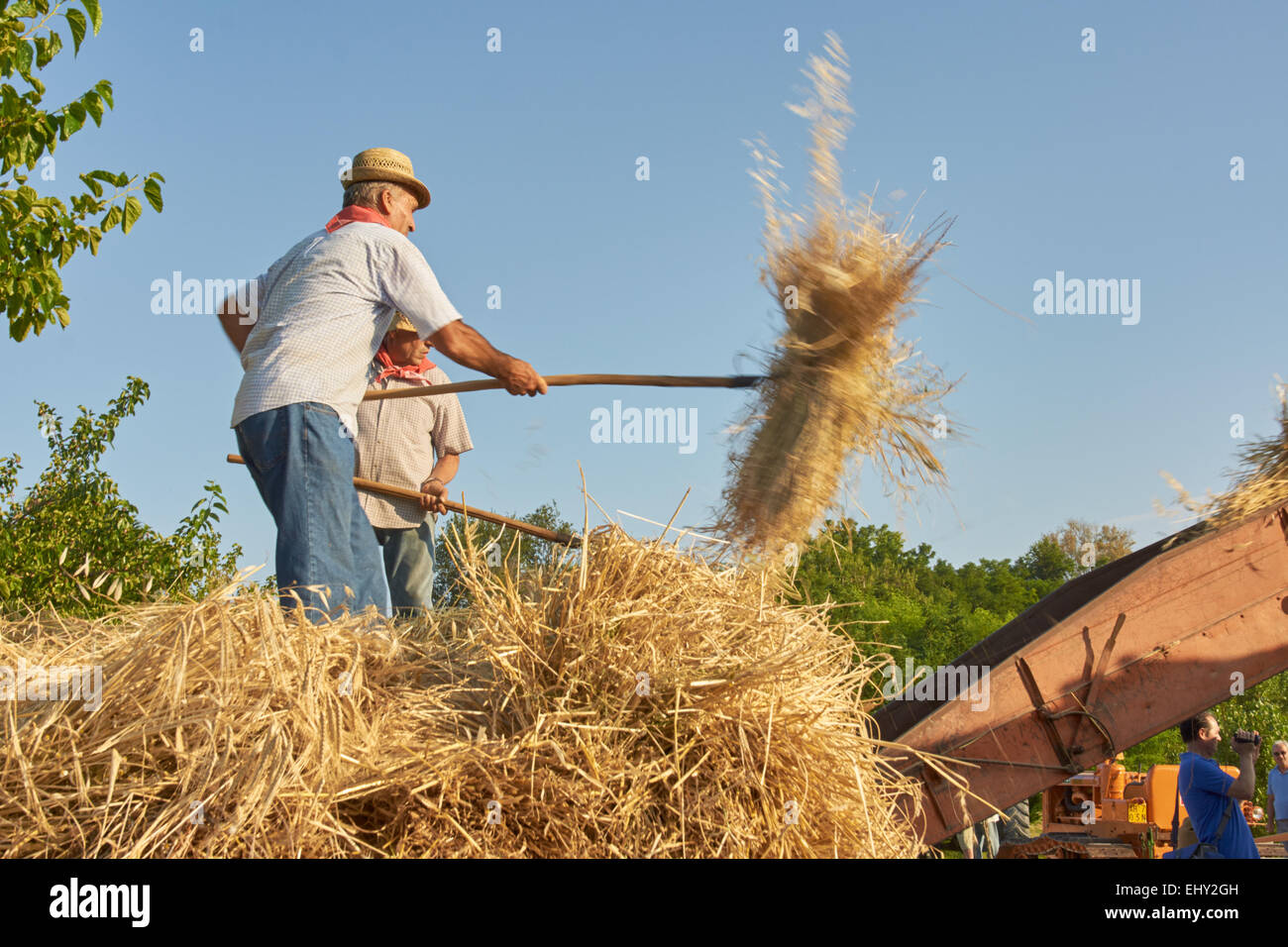 Labour intensive farming hi-res stock photography and images - Alamy