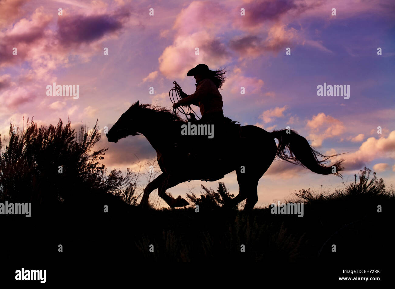 Cowgirl Riding Horse Sunset
