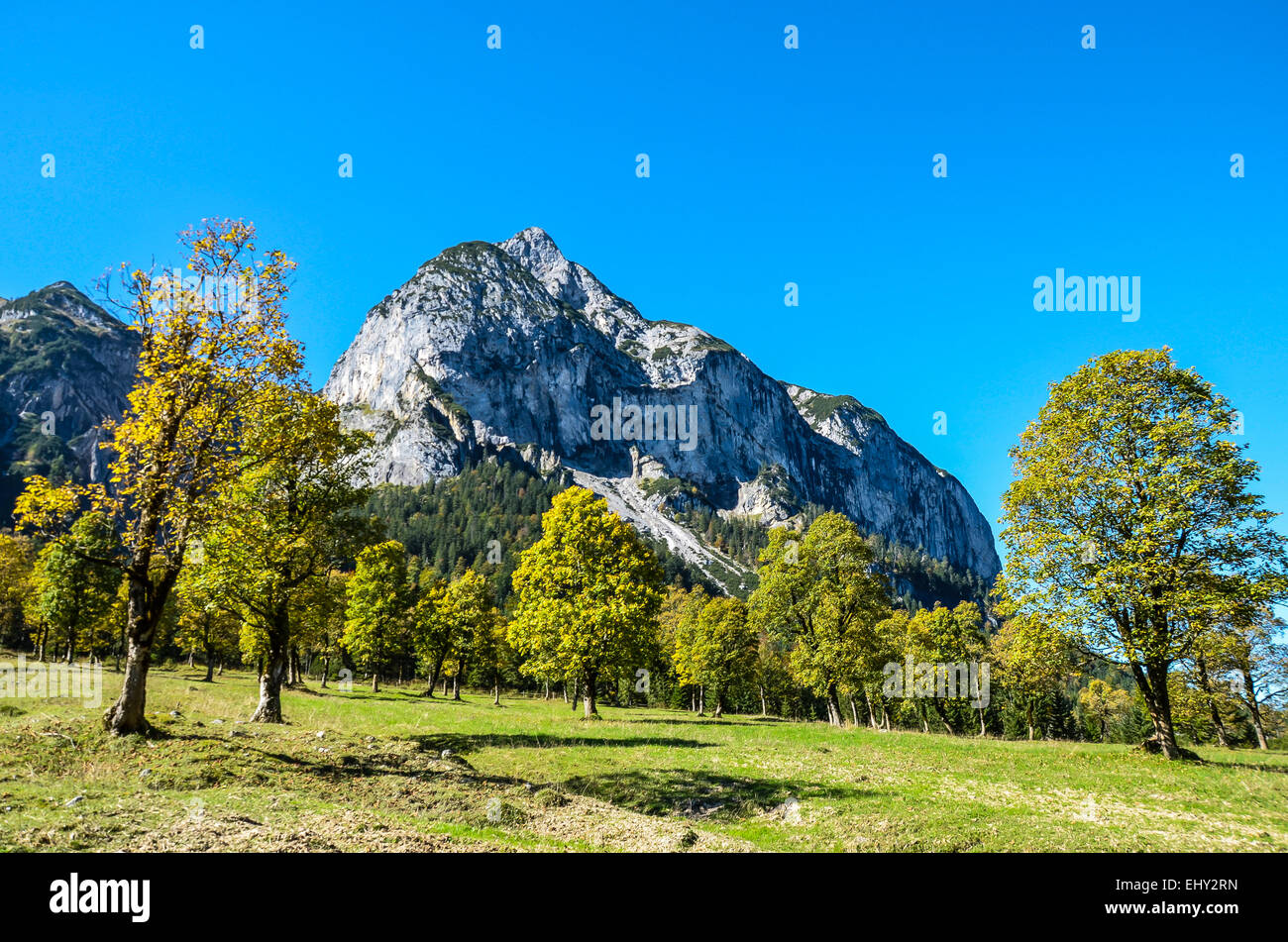 Eng risstal hi-res stock photography and images - Alamy