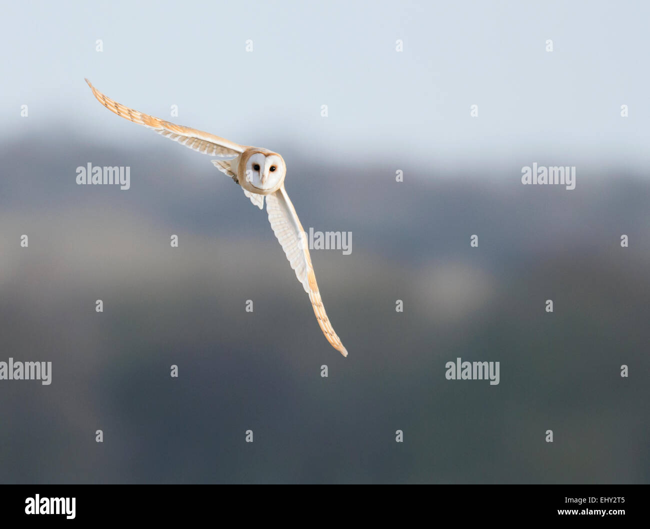 Glide camera hi-res stock photography and images - Alamy