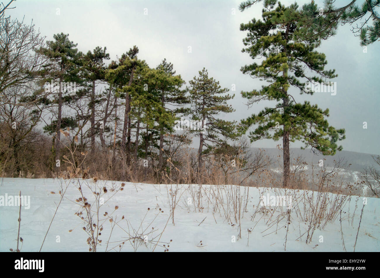 Beautiful cold sky hi-res stock photography and images - Alamy