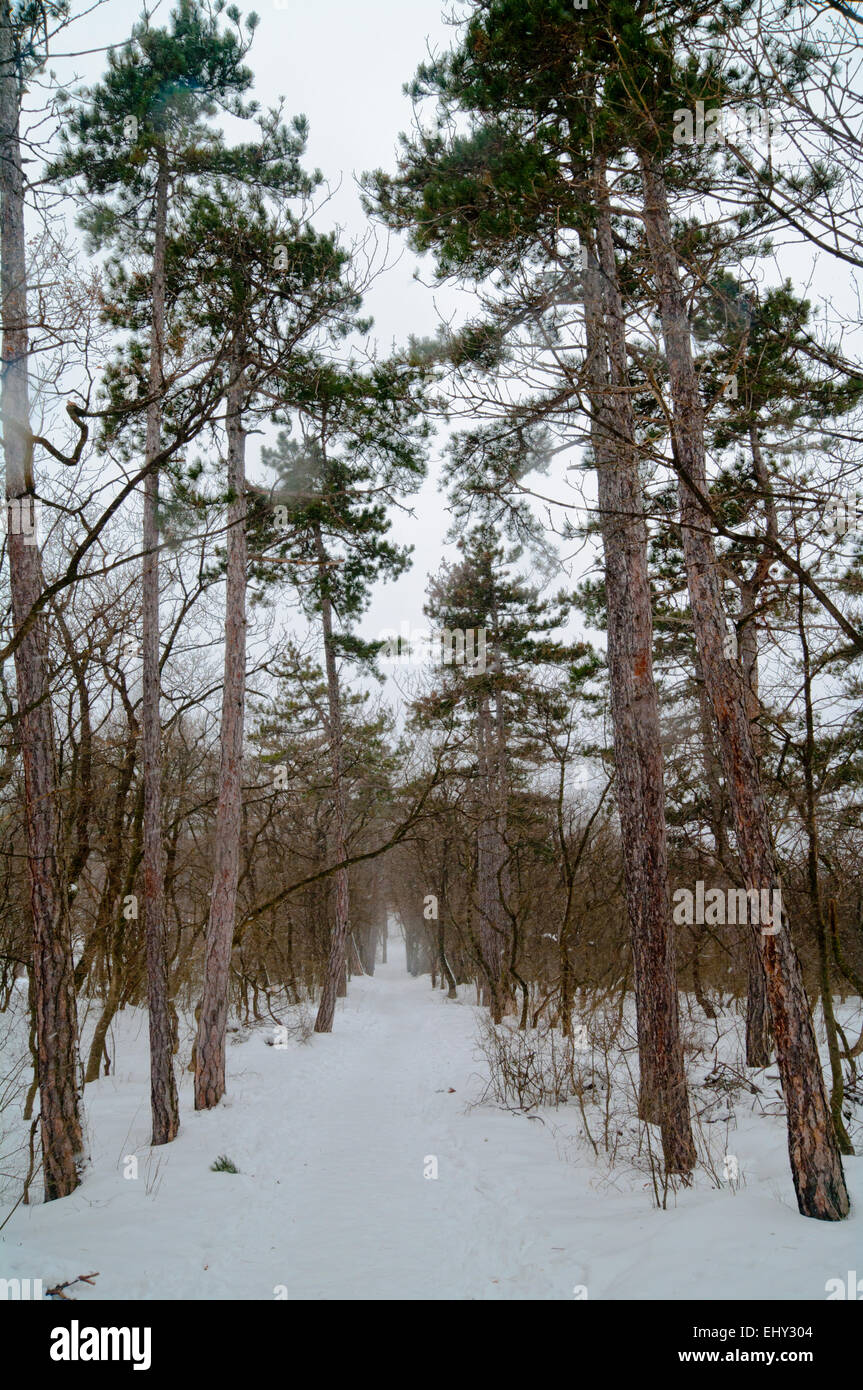 background beautiful beauty chill cold color colorful cool day europe ...