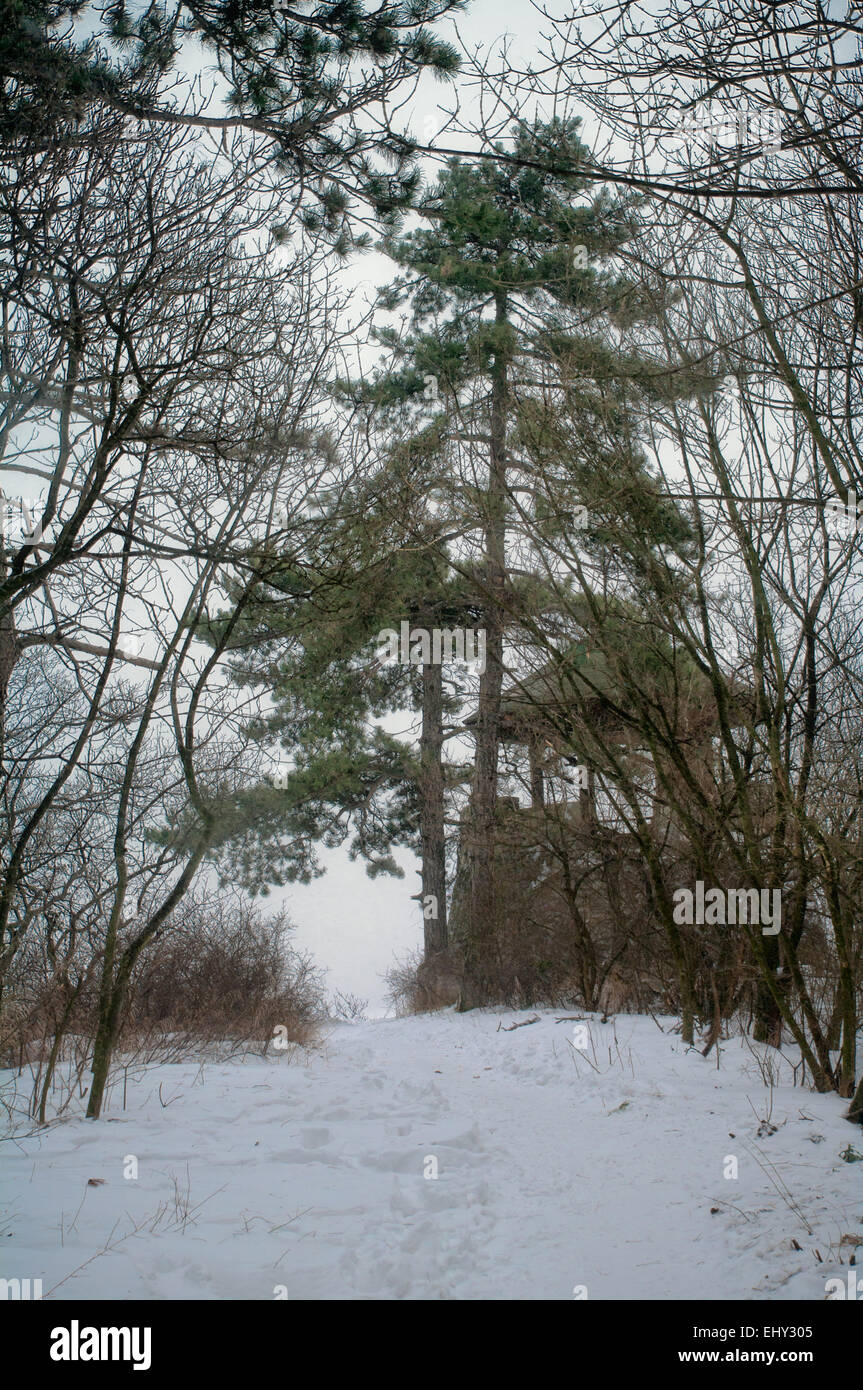 background beautiful beauty chill cold color colorful cool day europe ...