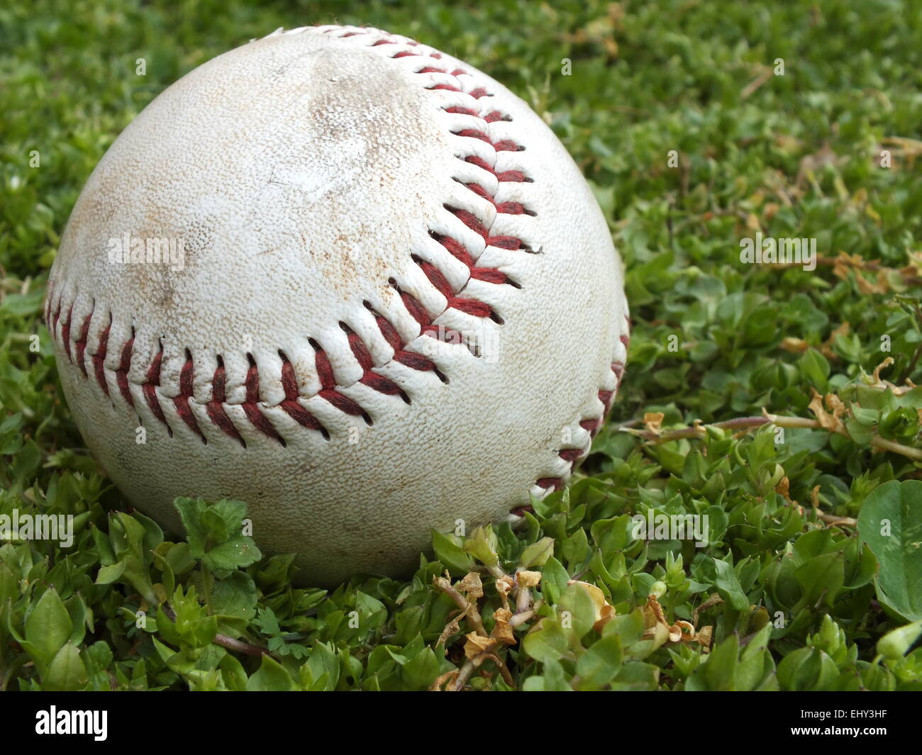 Baseball field grass hi-res stock photography and images - Alamy