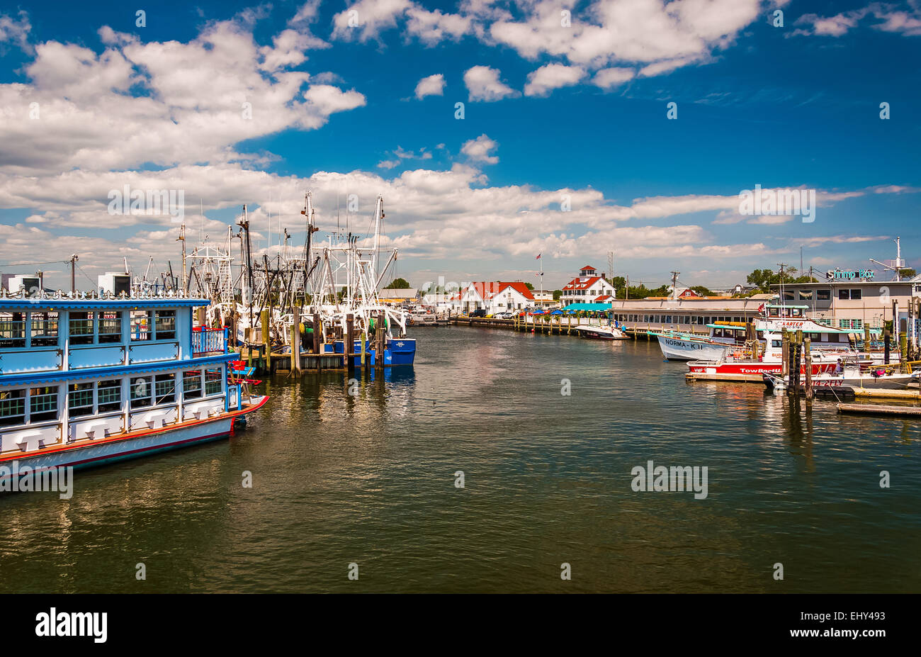 Point pleasant park hi-res stock photography and images - Alamy