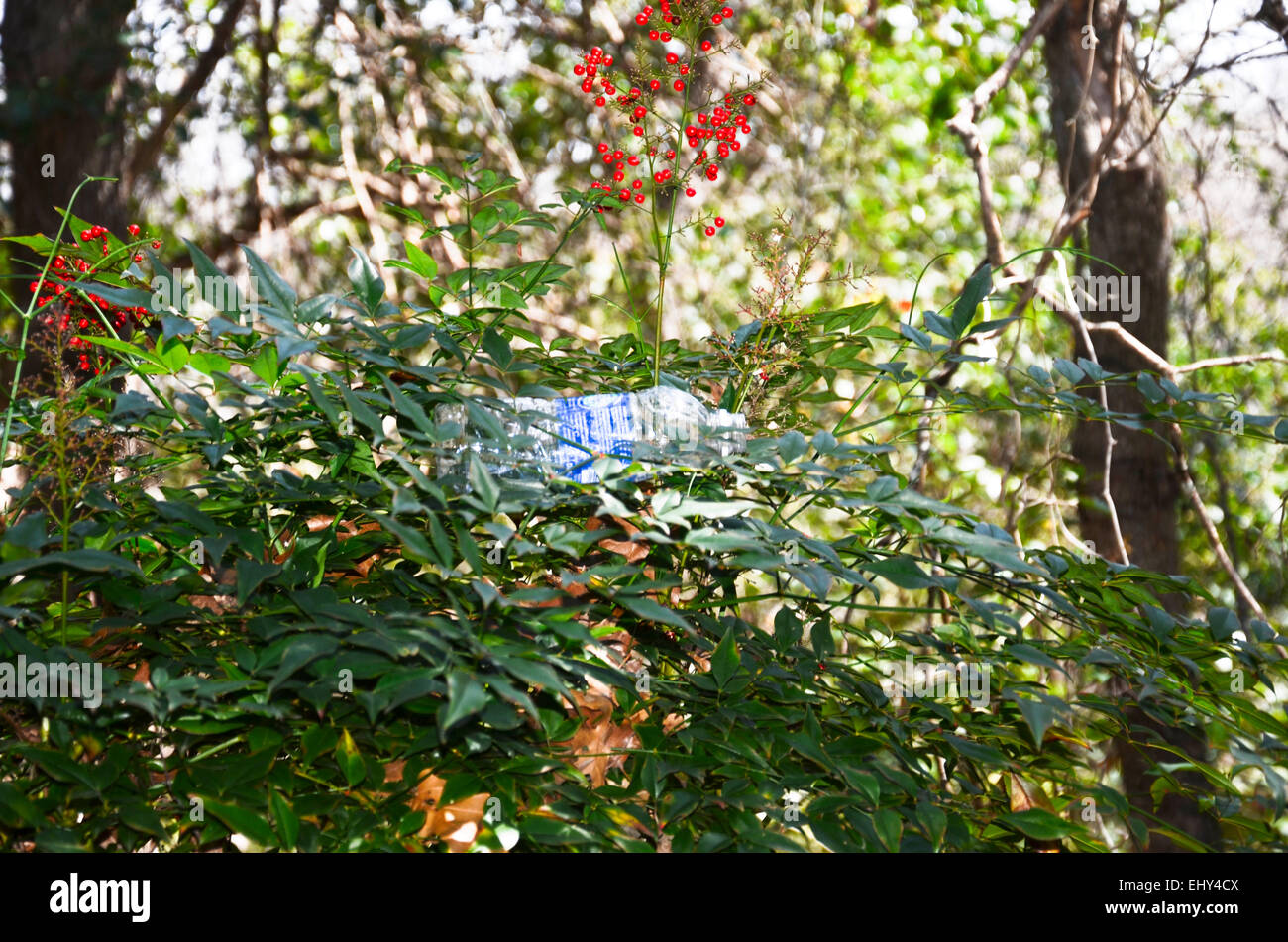 Littering destroys beautiful nature Stock Photo - Alamy