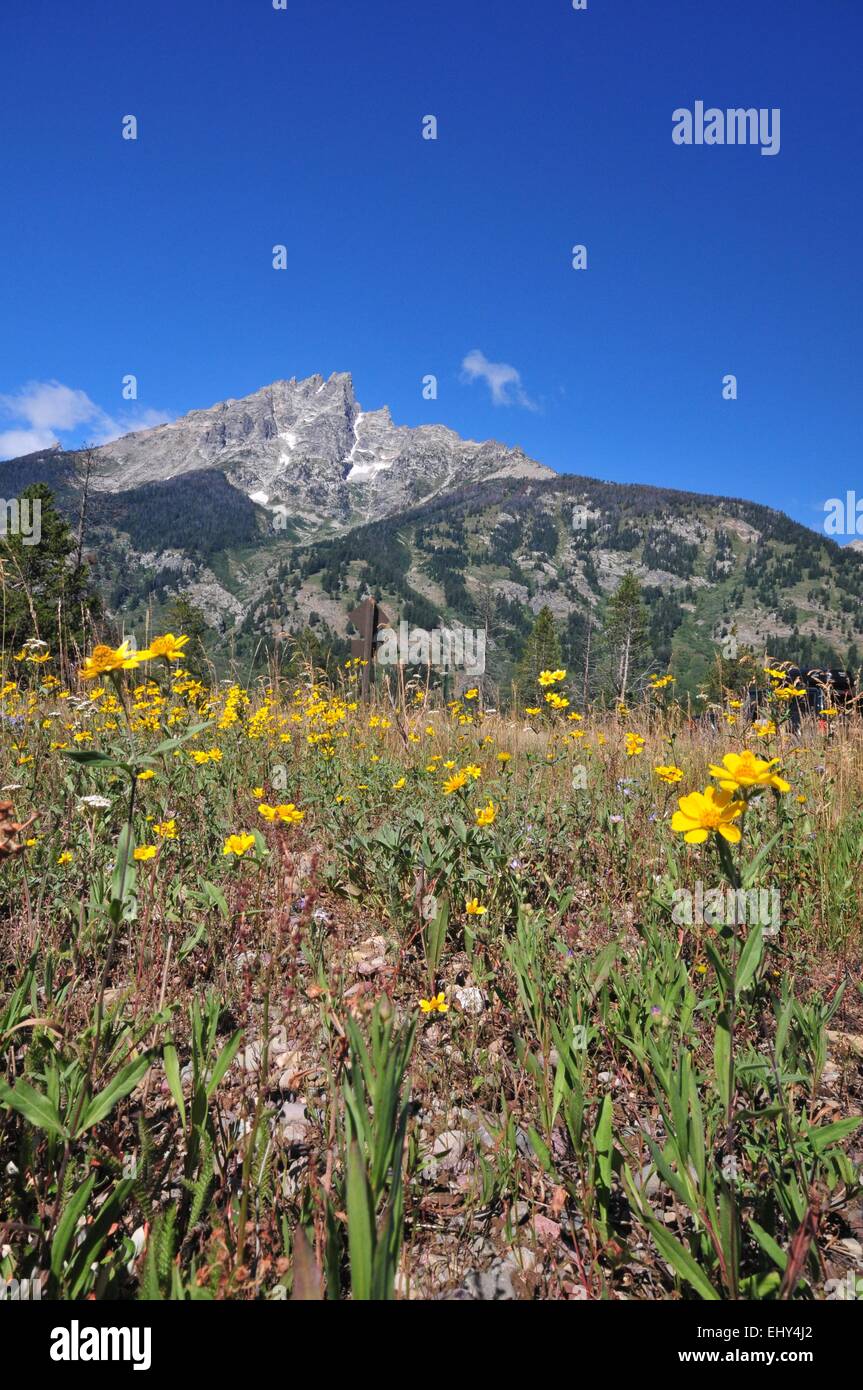 Fault block mountain hi-res stock photography and images - Alamy