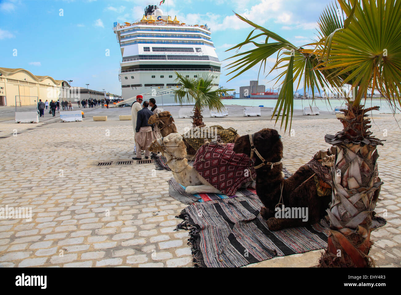 Tunis port hi-res stock photography and images - Alamy