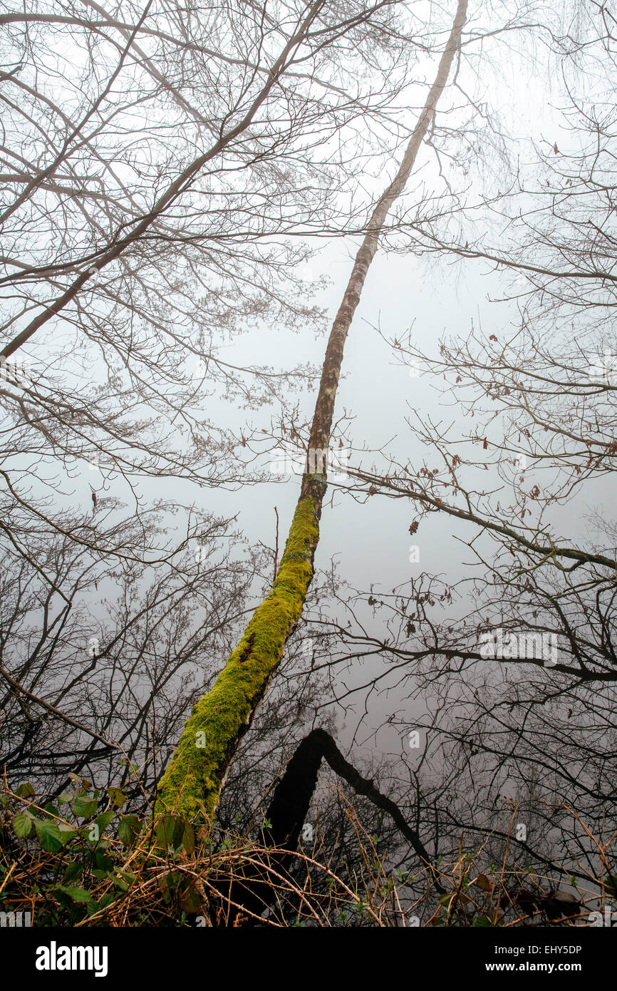 Chobham common national nature reserve hi-res stock photography and ...