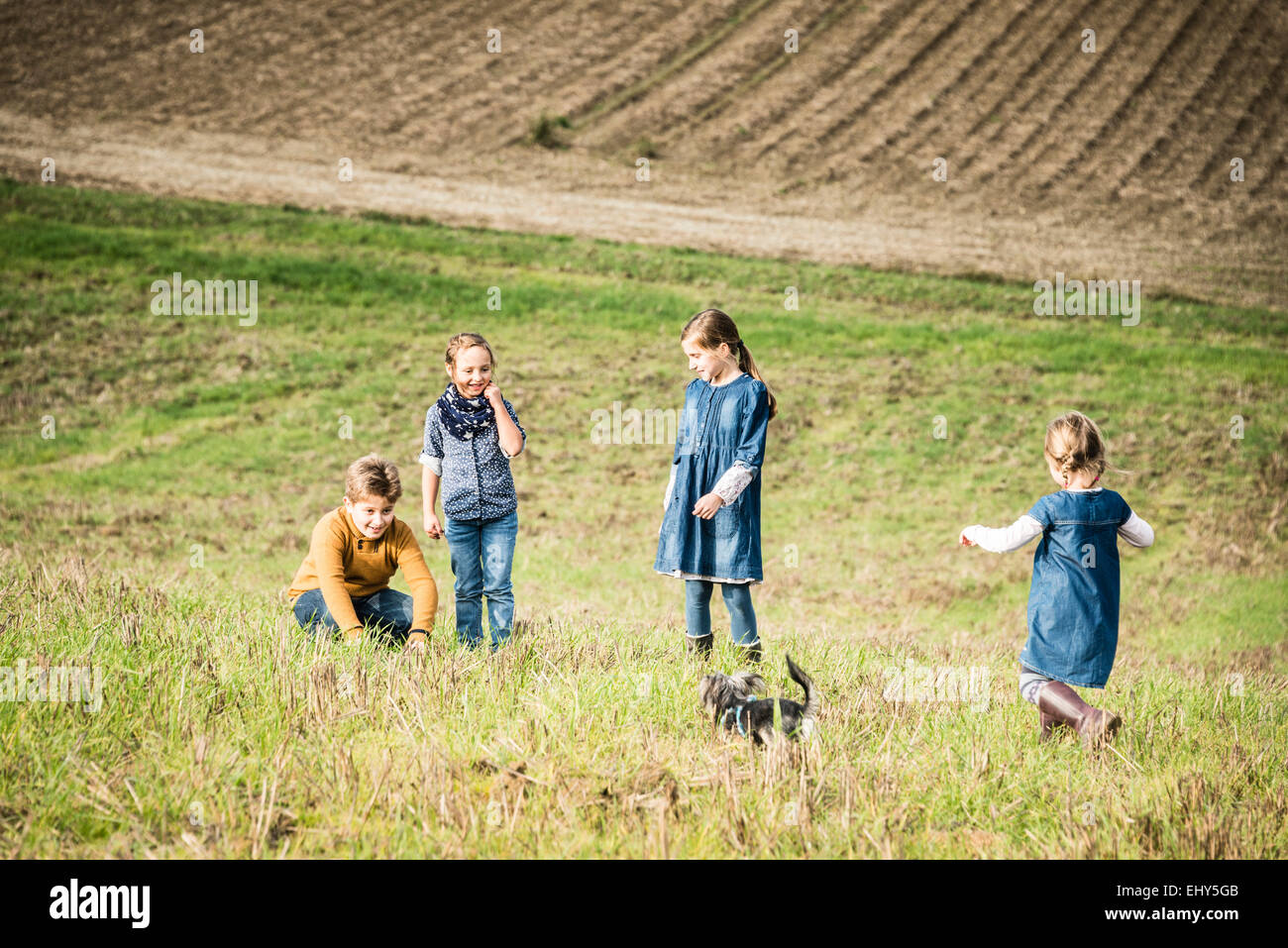 Children playing in field Stock Photo - Alamy